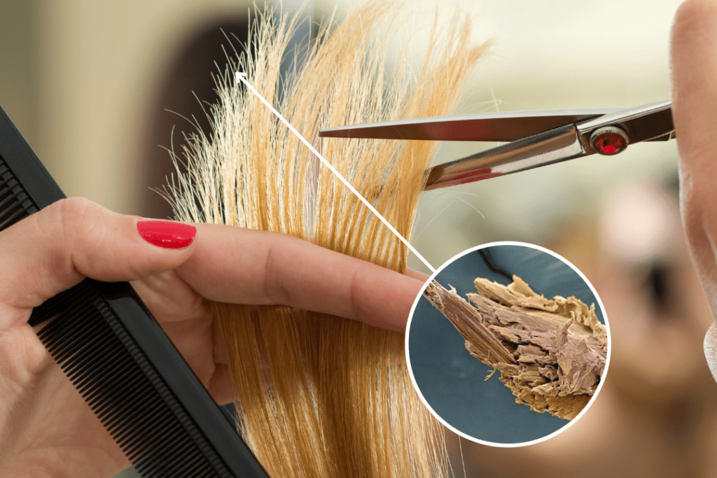 ¿Por qué se abren las puntas? | Betrián Peluqueros